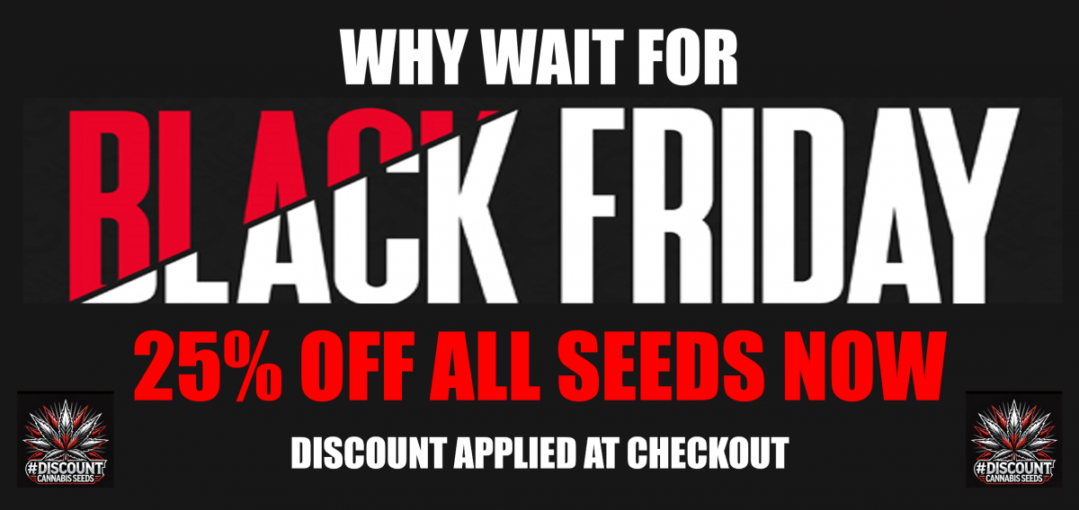 The Best Cannabis Seeds Strains to Watch for on Black Friday.