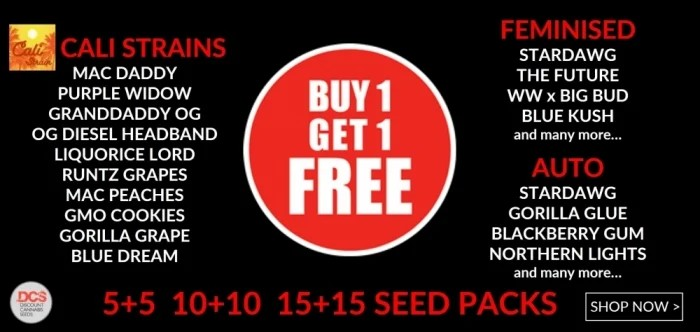 Discount Cannabis Seeds - Your Gateway to Affordable Quality